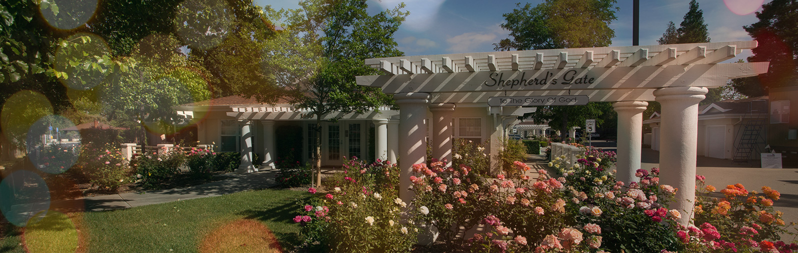 About Shepherd’s Gate – Shepherd's Gate